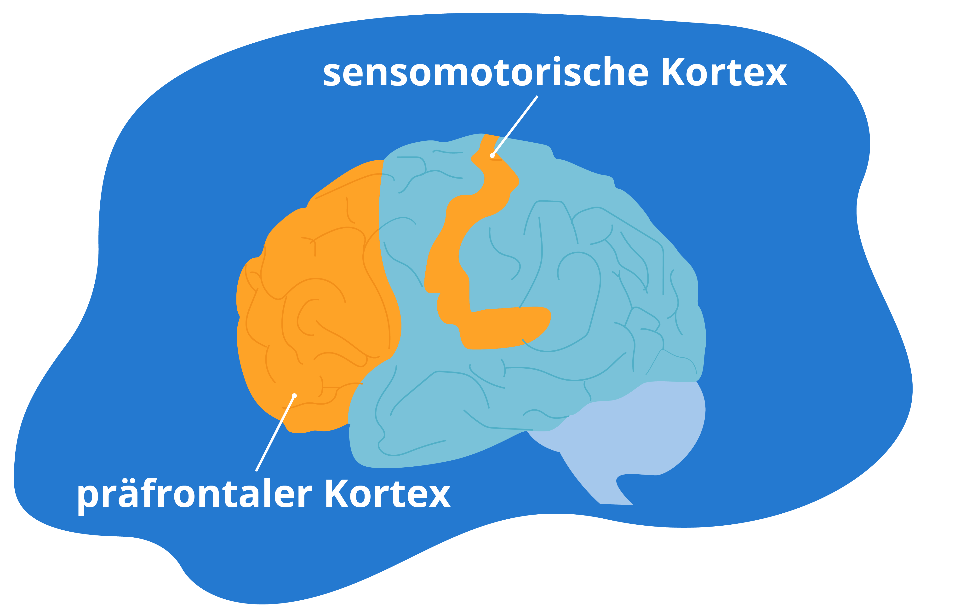 Luzides Träumen lernen – Wissenschaftliche Tipps [2025]