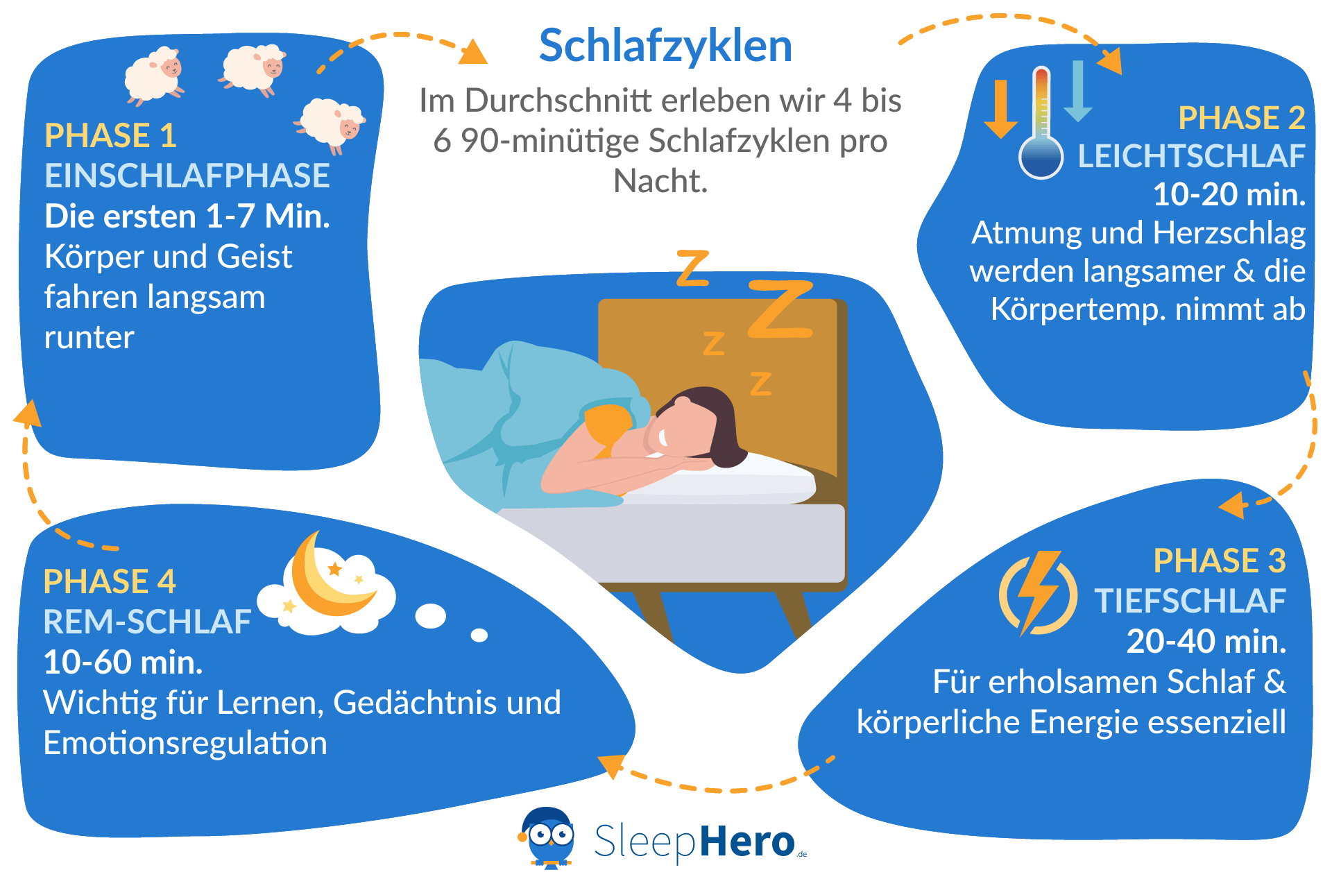 Schlafzyklus erklärt: Phasen, Dauer und Tipps für besseren Schlaf | 2025