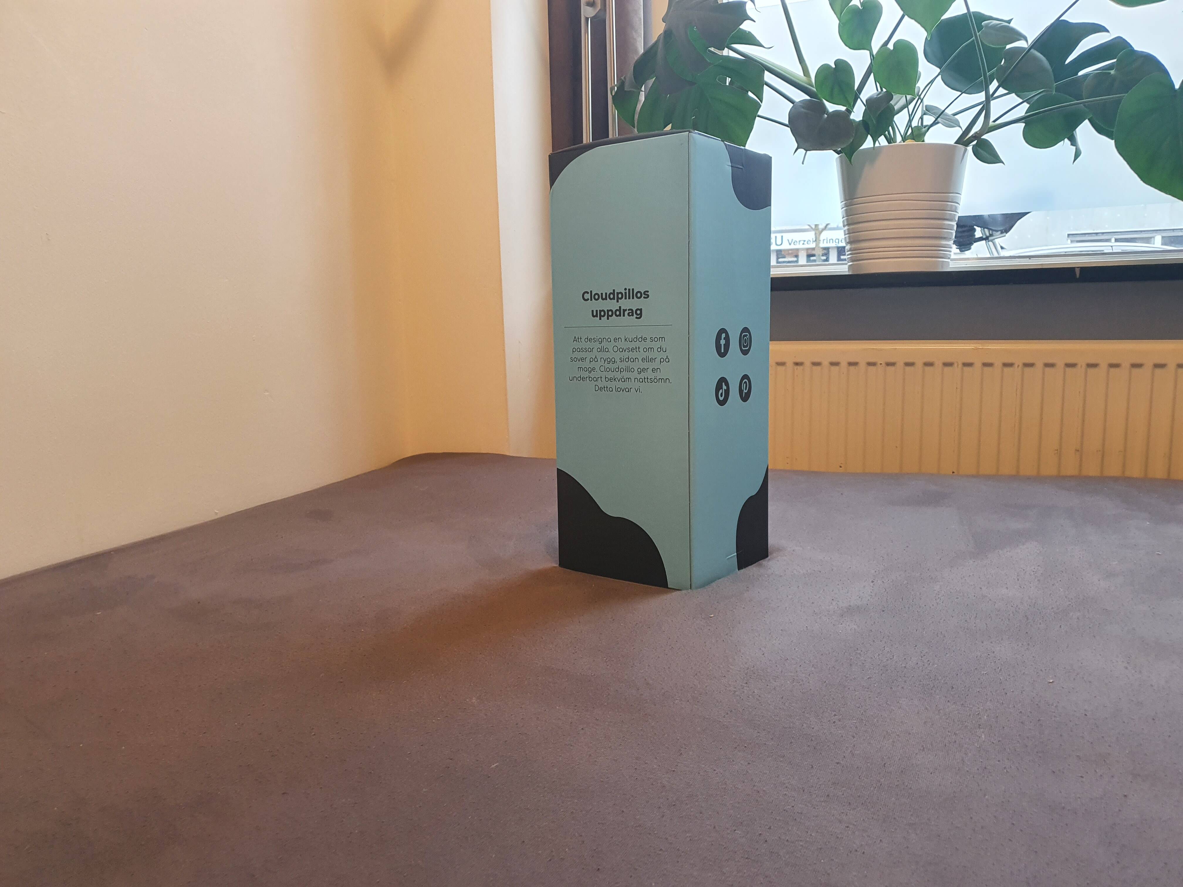 Cloudpillo Test – Unsere Erfahrungen mit dem Trendkissen [2023]